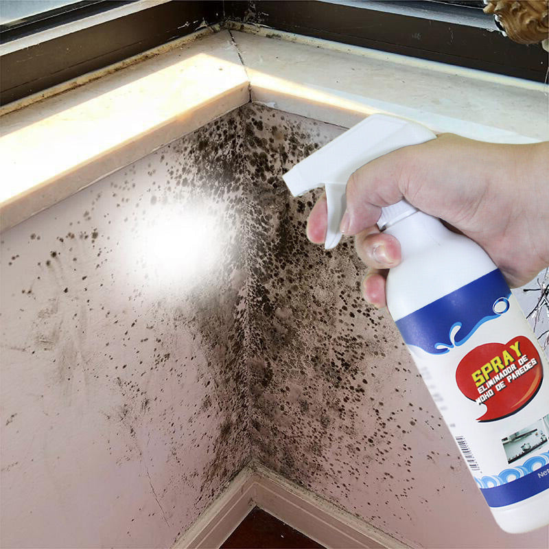 Highly Effective Mould Removal Spray - Prevents Mould Regrowth🦠 ...